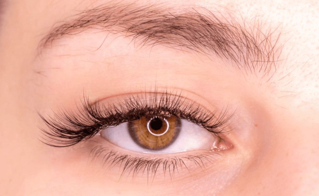 Cat Eyelash Extensions Ultimate Guide